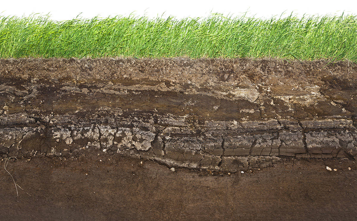 Sampling for soil analysis - Karpatov Technology